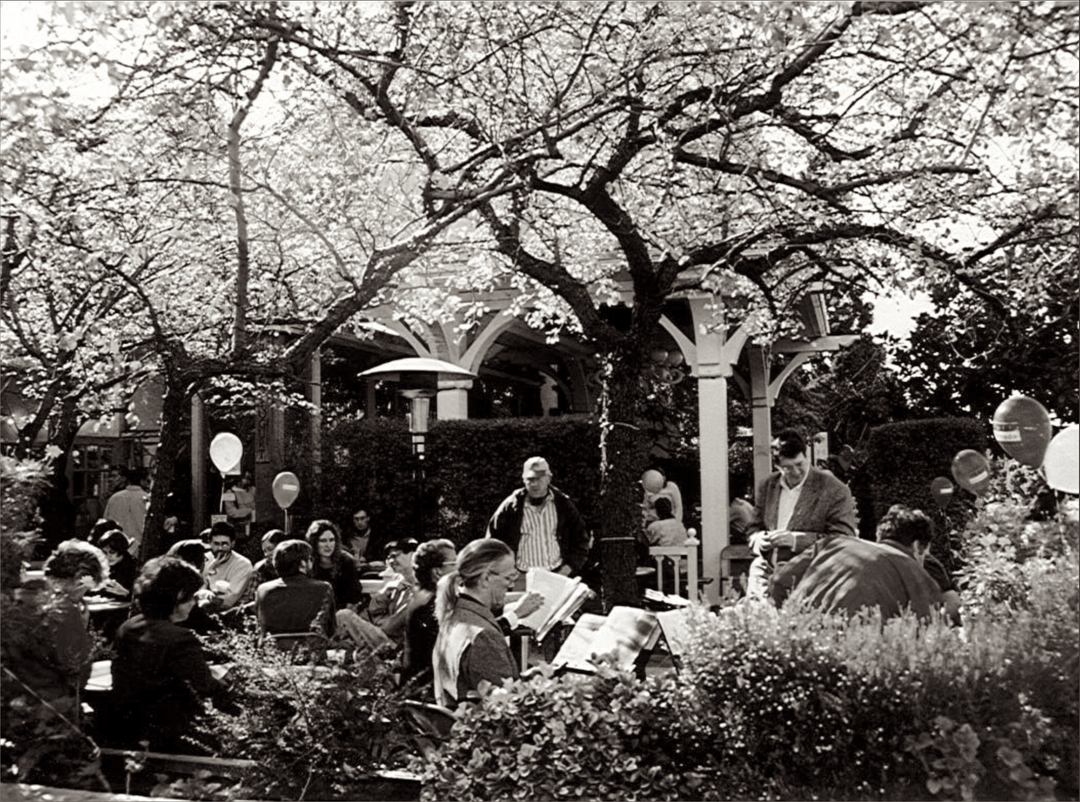 Caffe Strada Berkeley