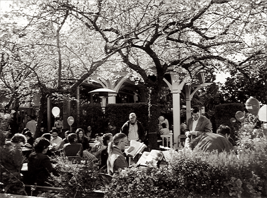 Caffe Strada Berkeley